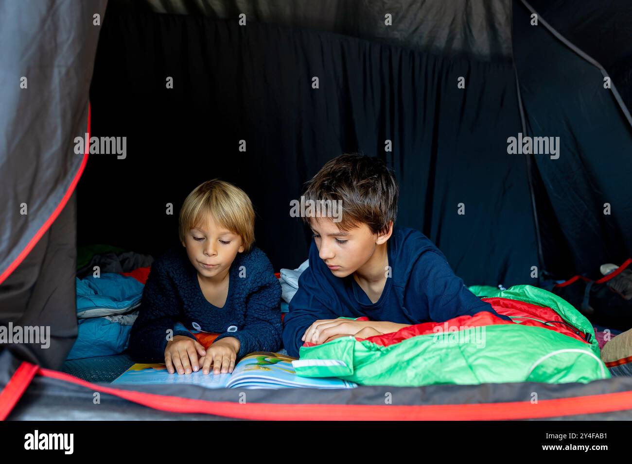 Children, boys siblings, enjoying a night in a tent in camping ...