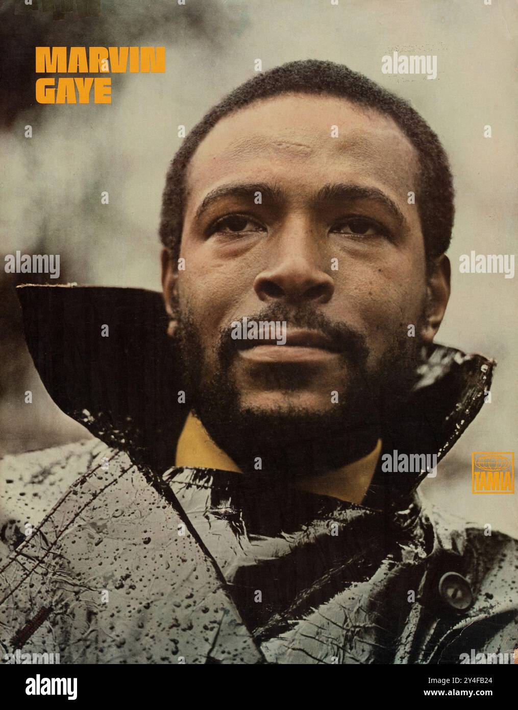 Marvin gaye hi-res stock photography and images - Alamy