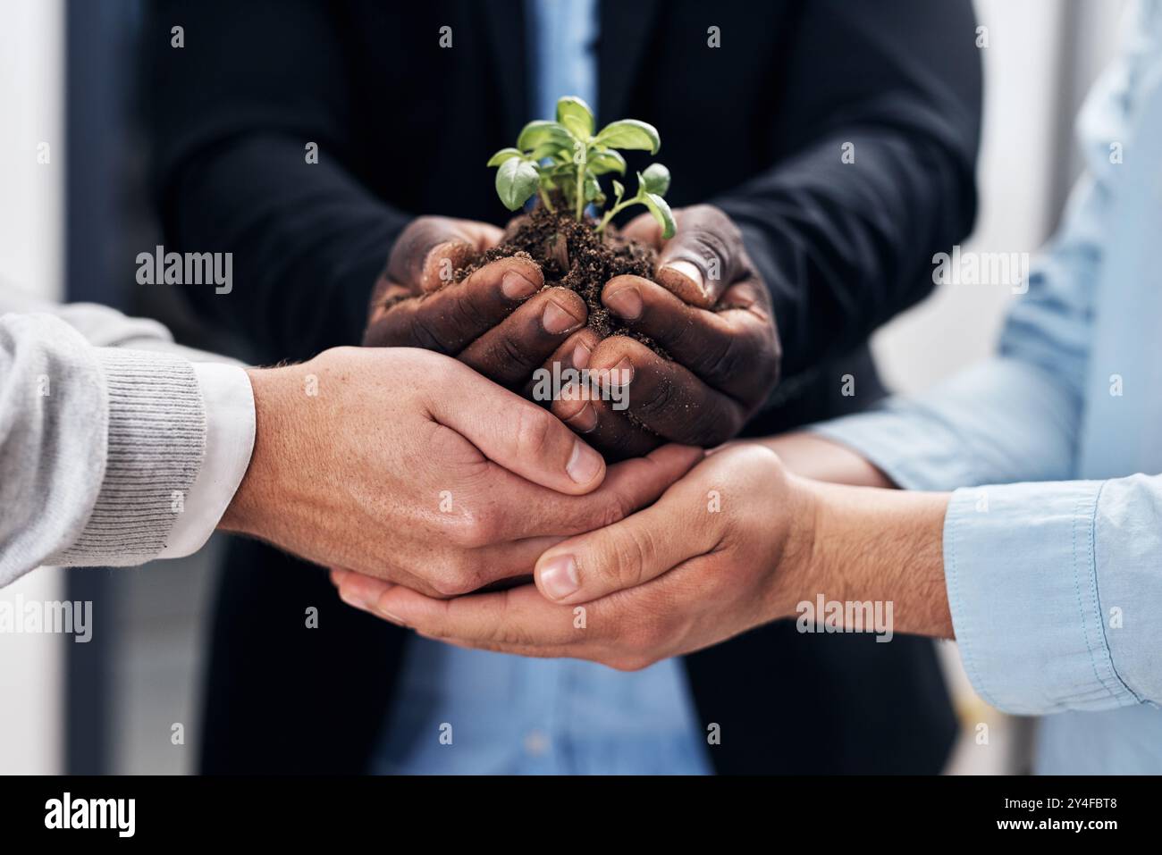 Hands, business people and plant soil with sustainability, recycle and ...