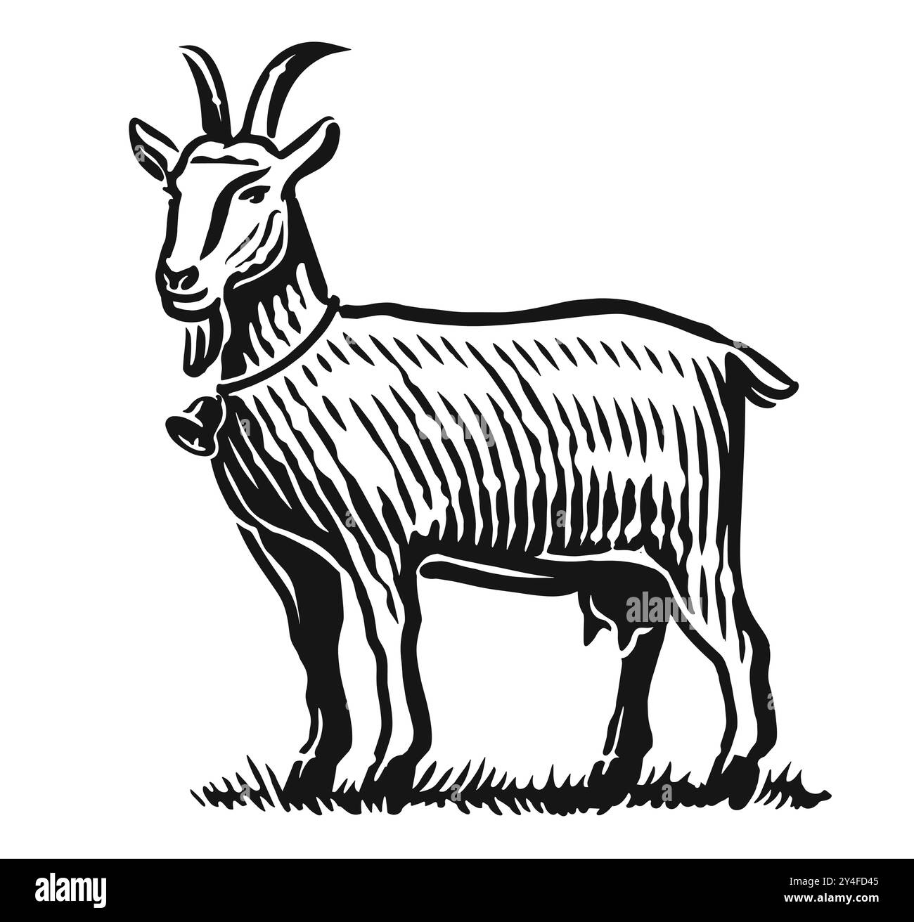 Young goat grazes in meadow. Farm animal sketch. Hand drawn vector illustration engraving style ...