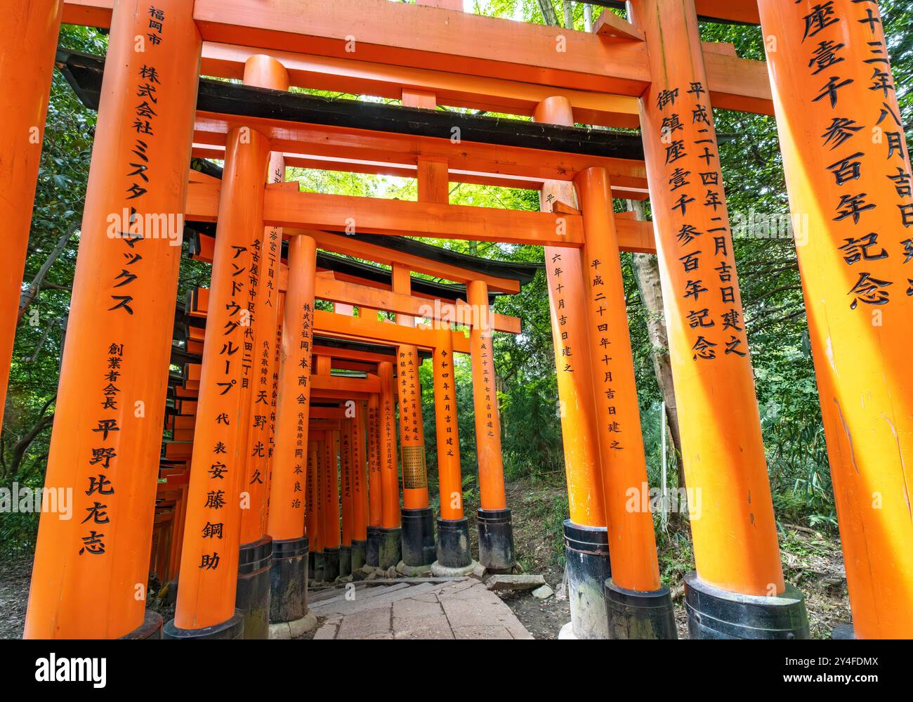 Torii path, Fushimi Inari-Taisha shrine, Kyoto, Japan Stock Photo - Alamy