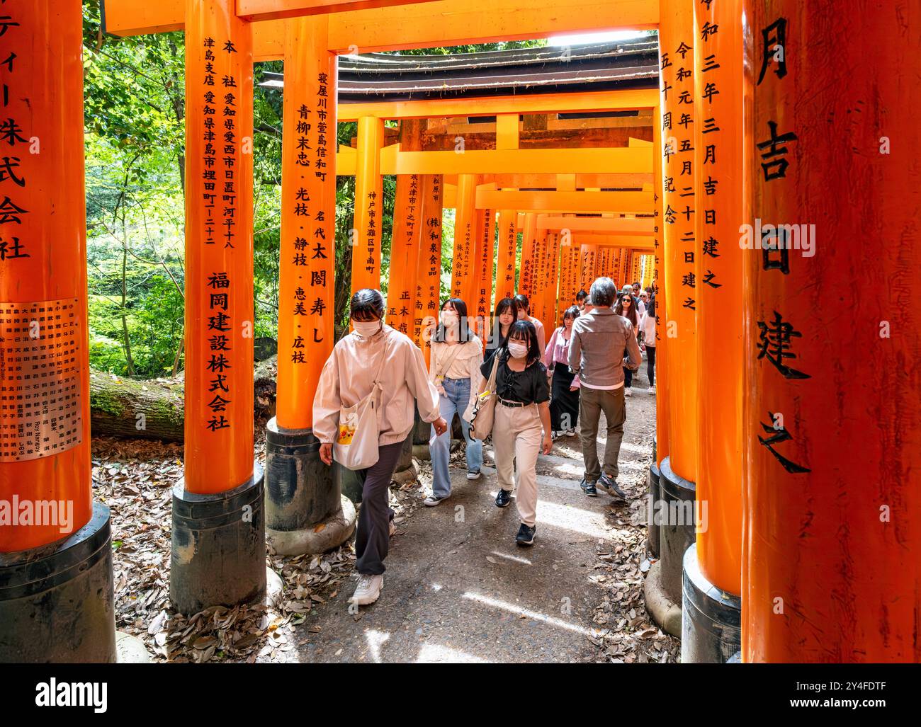 Fushimi Inari-Taisha shrine, Kyoto, Japan Stock Photo - Alamy