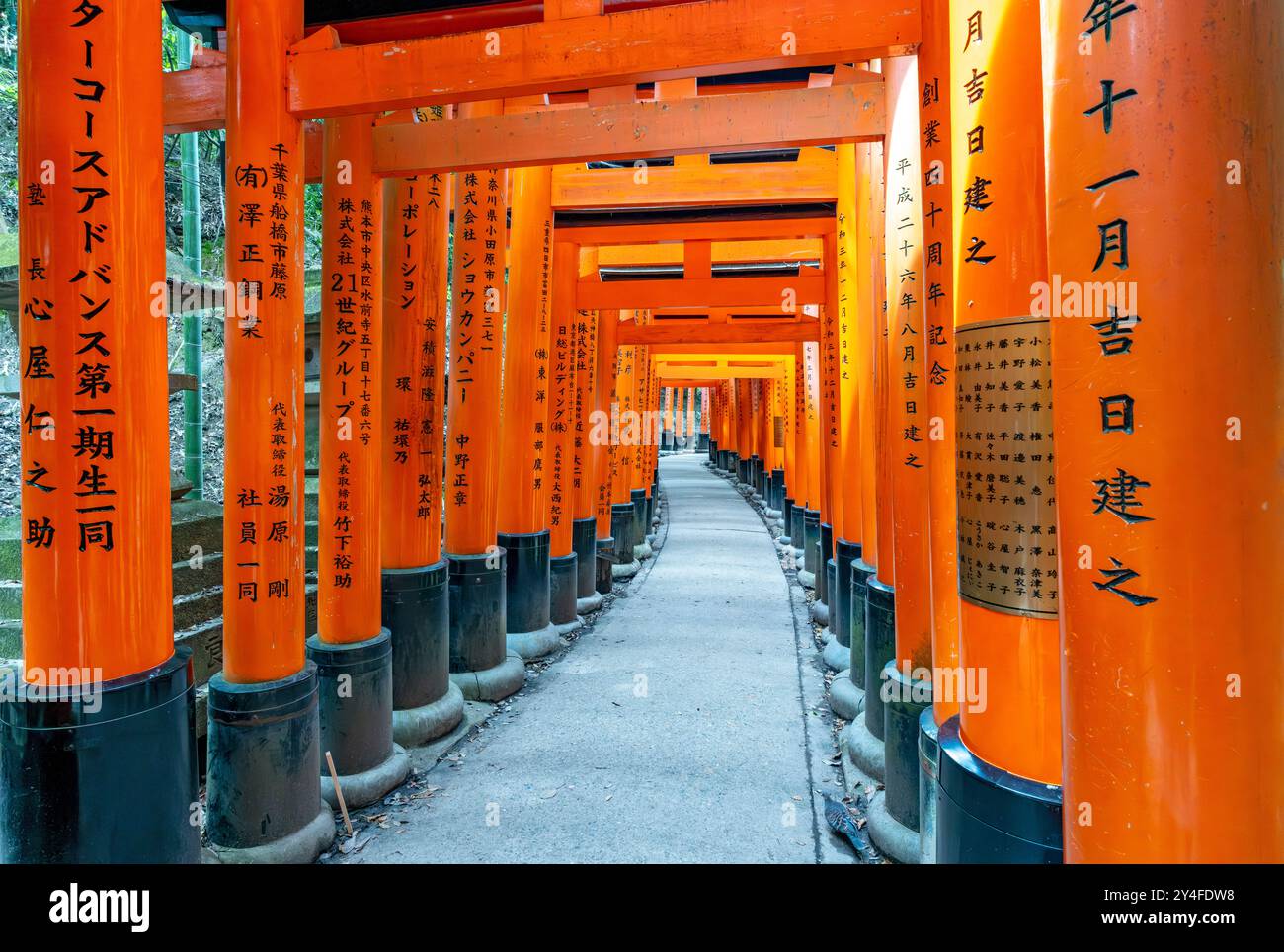 Torii path, Fushimi Inari-Taisha shrine, Kyoto, Japan Stock Photo - Alamy