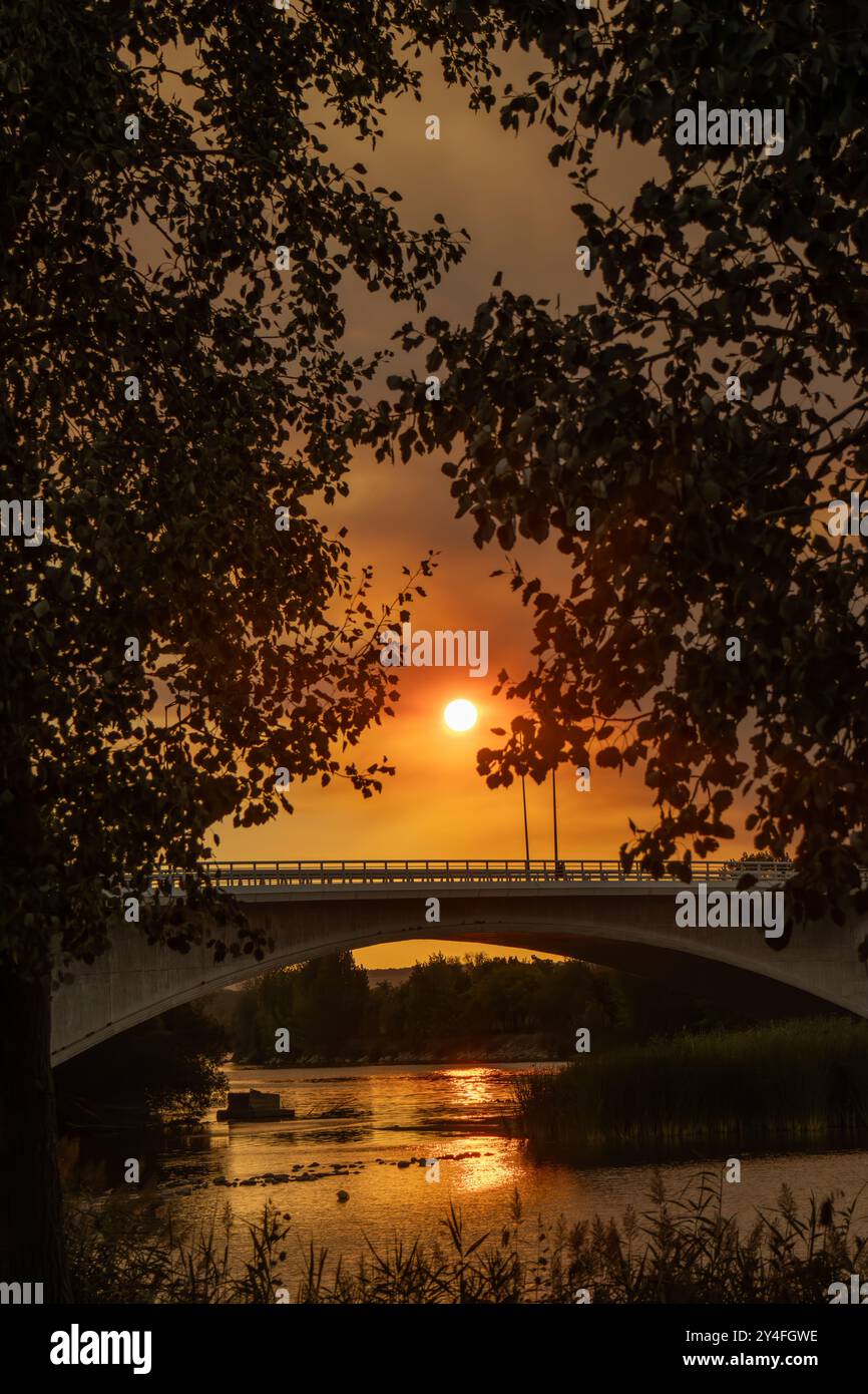 árboles dorados hi-res stock photography and images - Alamy