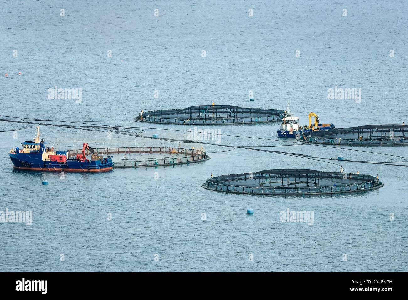 Salmon farm cages off Skye's coast, with aquaculture service ships that ...