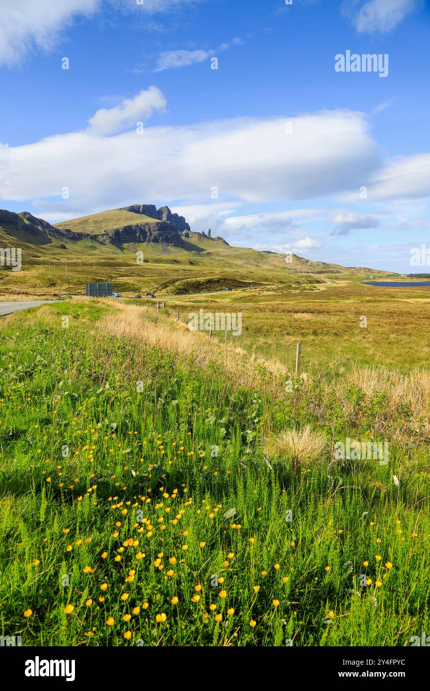 Spring flowers by the A855 east coast road with the Trotternish Ridge ...