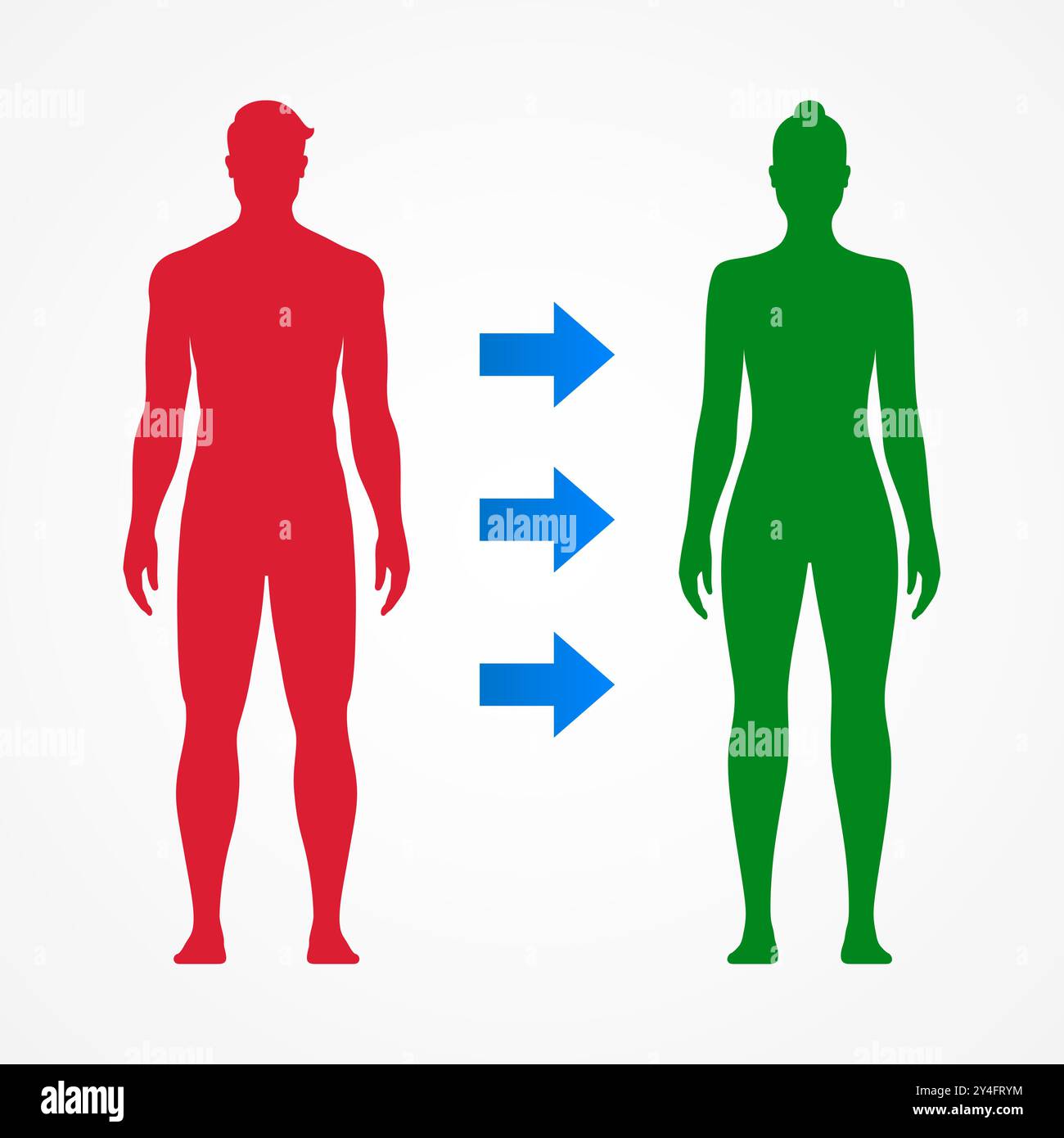 Gender transition from man to woman, concept vector illustration. The ...