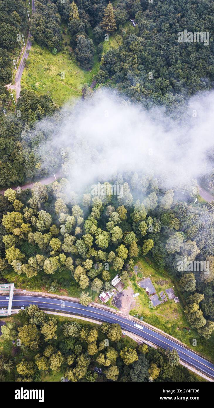 Timber industry mexico hi-res stock photography and images - Alamy