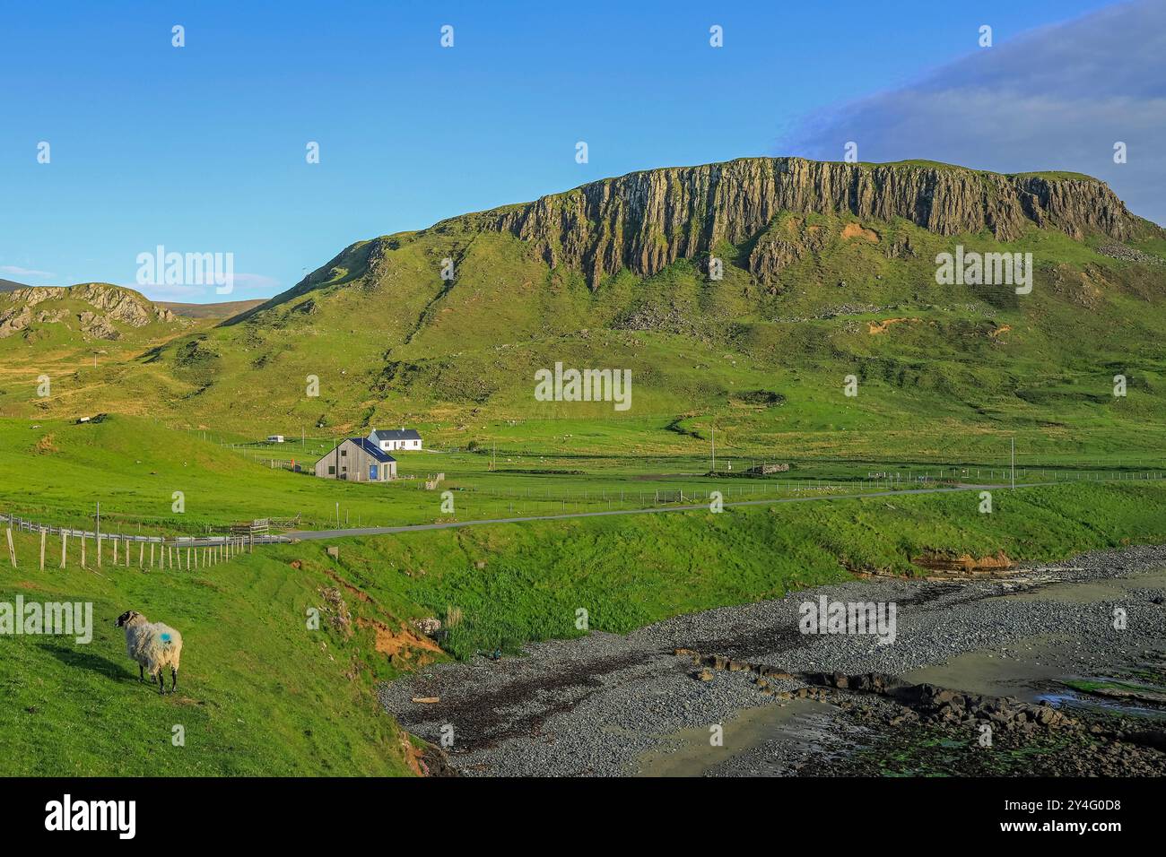Igneous dolerite sill cliff with Jurassic sedimentary rocks, fossils ...