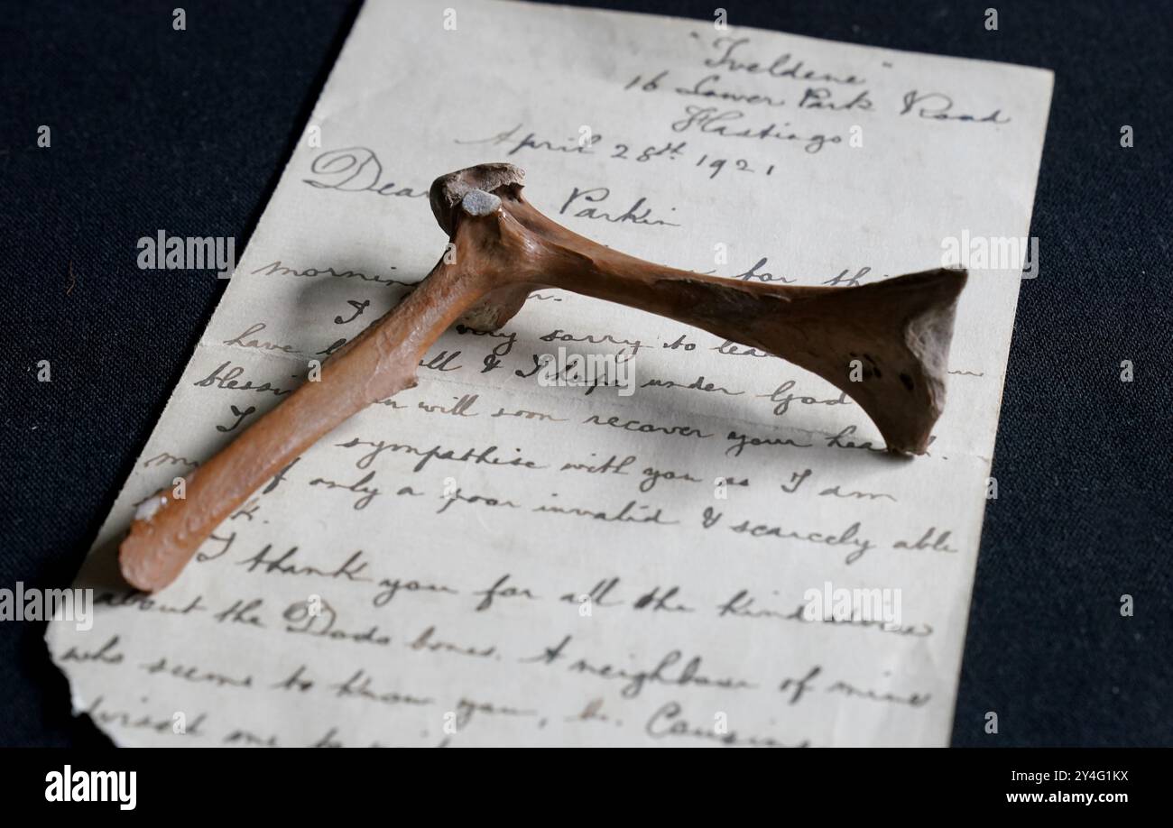 Dodo bones hi-res stock photography and images - Alamy