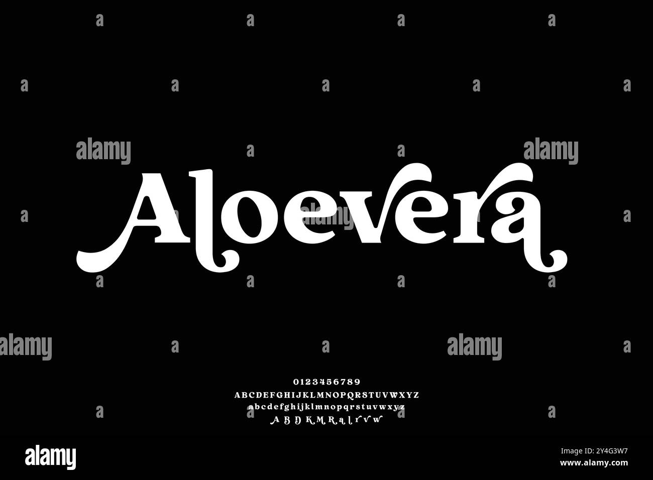 Elegant bold vintage decorative alphabet display font vector with ...