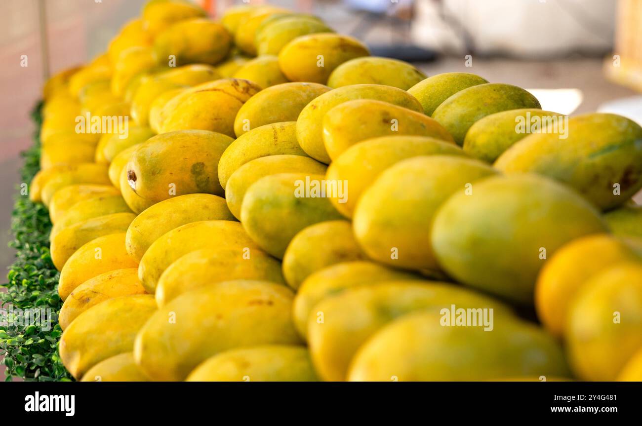 Close-up mangoes at a market stall Close-up mangoes at a market stall ...