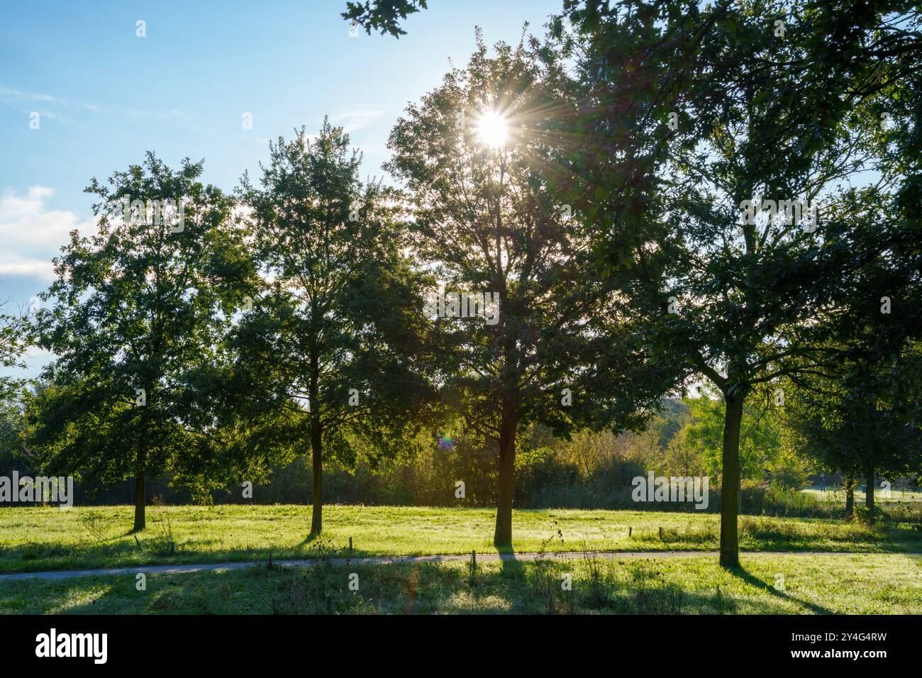Parco Nord, public park in Milan, Lombardy, Italy, in September Stock ...