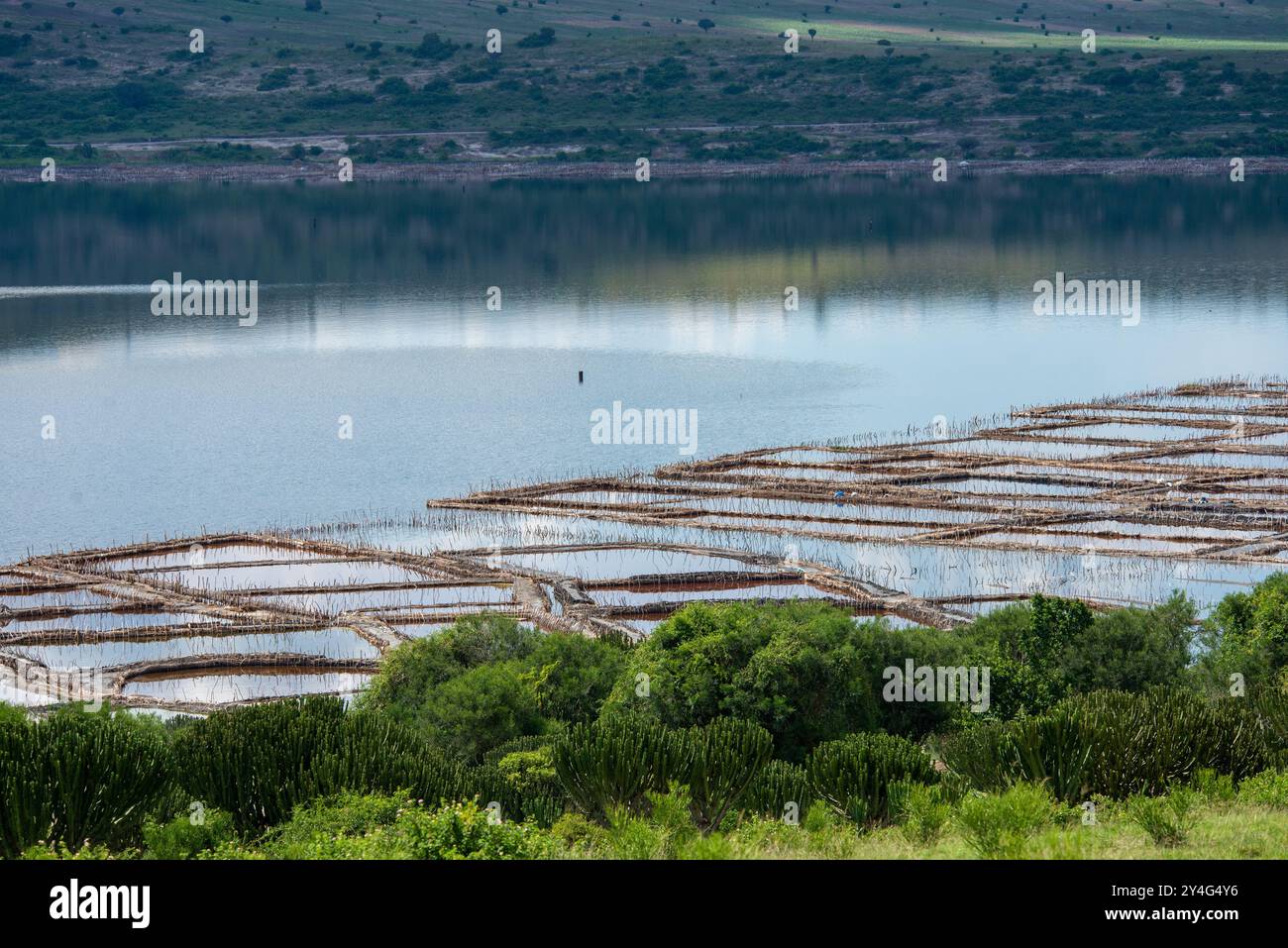 Lake Katwe in Queen Elizabeth Ntional Park Uganda. From time imemorial ...