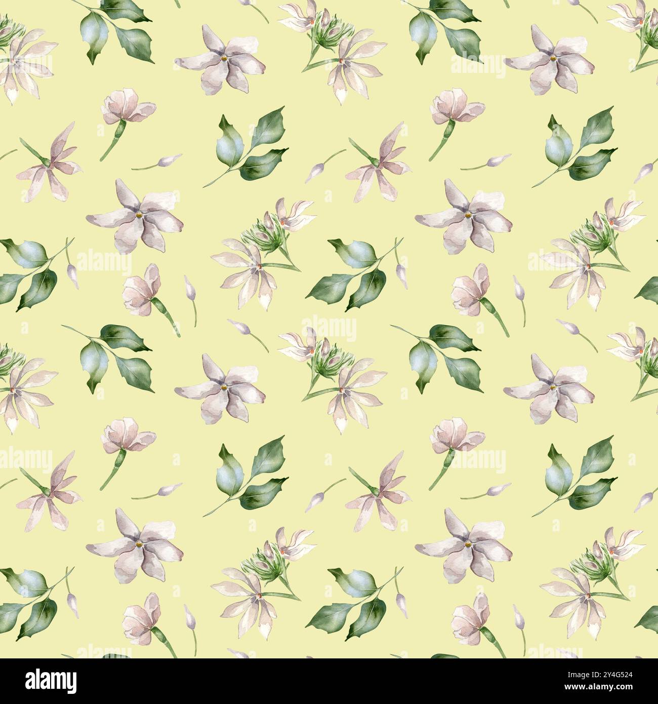 Jasmine flowers, buds, leaves watercolor seamless pattern isolated ...