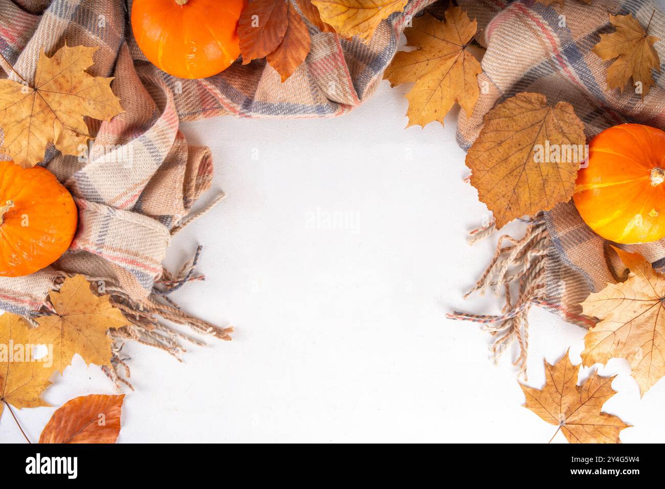 Minimal sparse autumn background with fall leaves top view copy space ...