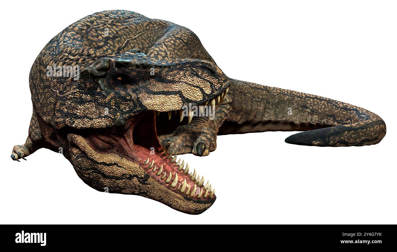 3D rendering of a dinosaur tyrannosaurus mcraeensis isolated on white ...