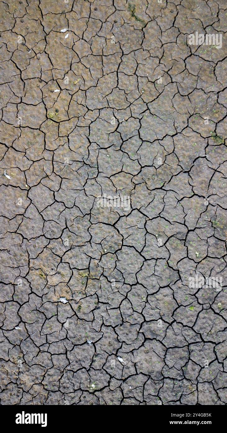 A dry lake is a waterless basin with a cracked, saline and dusty bed ...