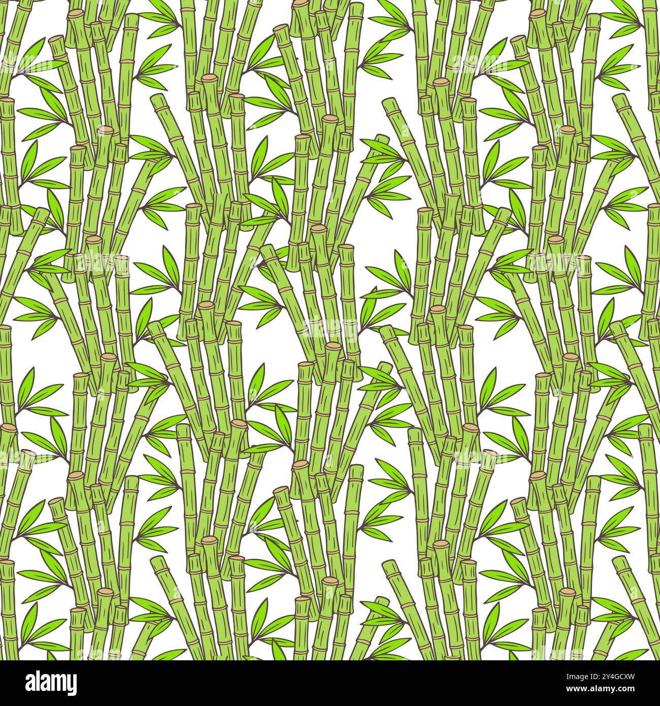 Bamboo green pattern, sticks bamboo and leaf shoots, hand drawn bamboo ...