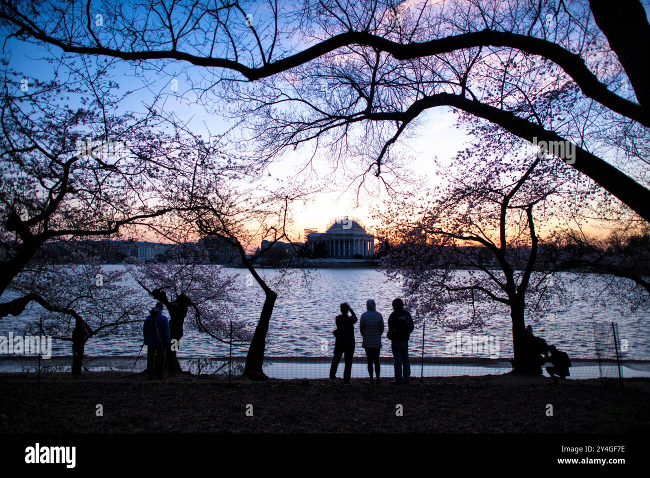 Tidal basin tourist spot hi-res stock photography and images - Alamy