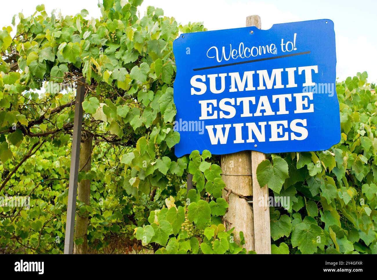 Stanthorpe wineries hi-res stock photography and images - Alamy