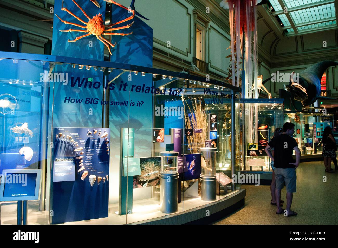 WASHINGTON, D.C. — Marine life specimens are displayed at the ...