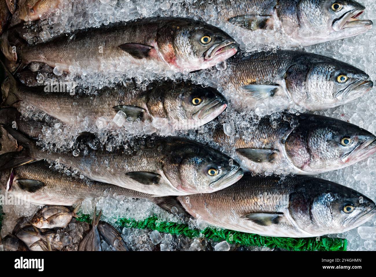 WASHINGTON DC, United States — Fresh fish for sale at the Maine Avenue ...