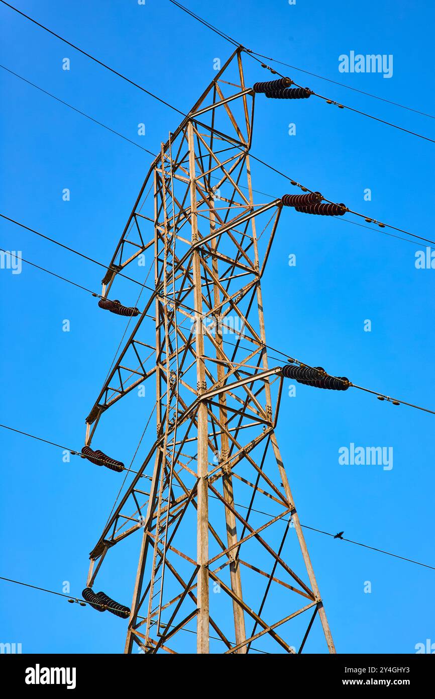High Voltage Power Tower with Bird Perched Low Angle Perspective Stock ...