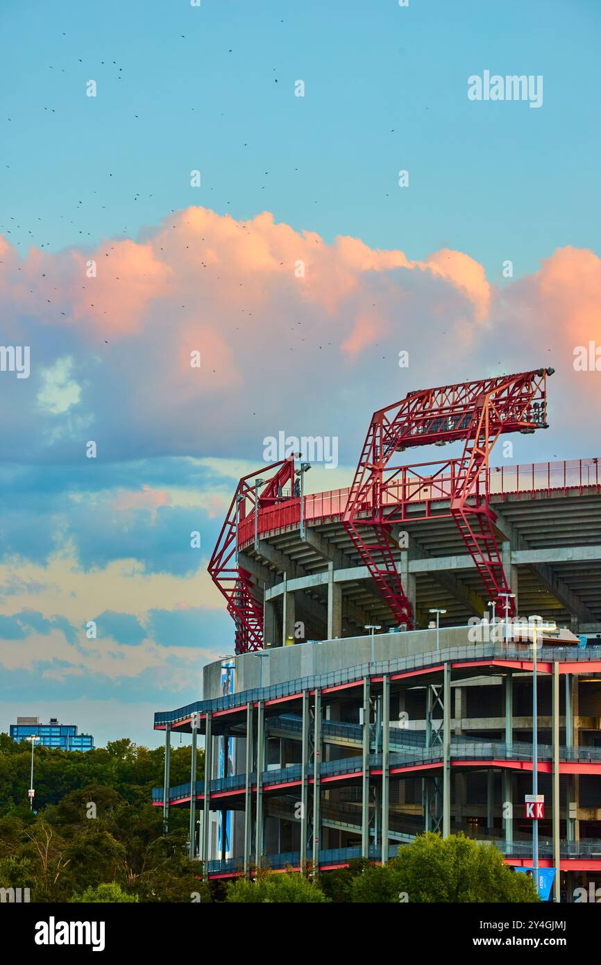 Nashville Stadium at Golden Hour with Birds in Motion Eye-Level ...