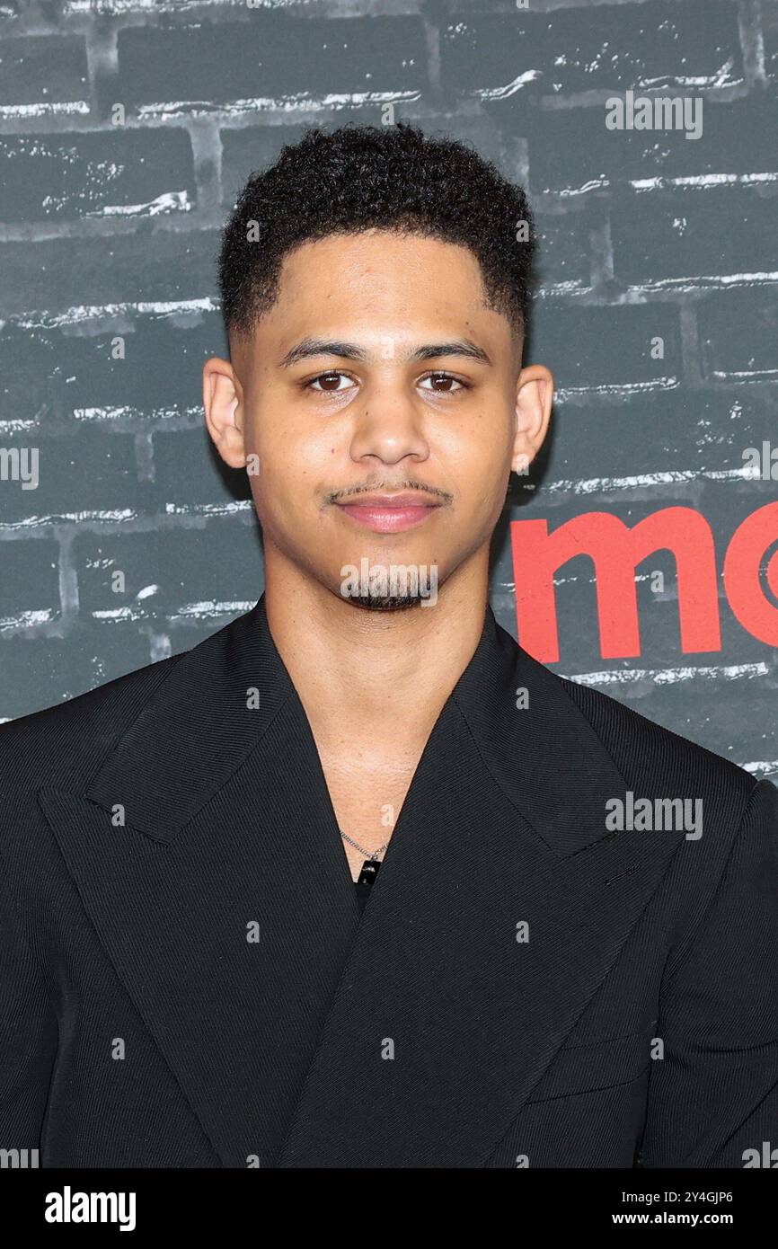 Rhenzy Feliz at arrivals for THE PENGUIN HBO Limited Series Premiere ...