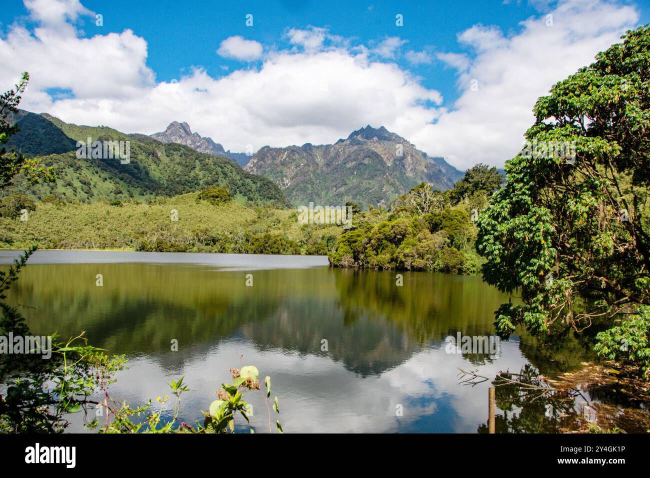 Lake Mahoma in the Rwenzori Mountains Uganda Stock Photo - Alamy