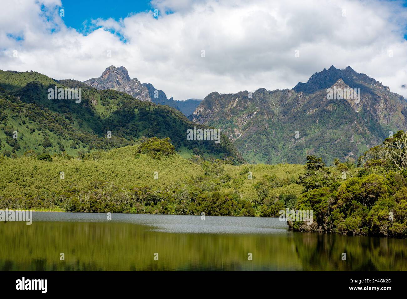Lake Mahoma in the Rwenzori Mountains Uganda Stock Photo - Alamy
