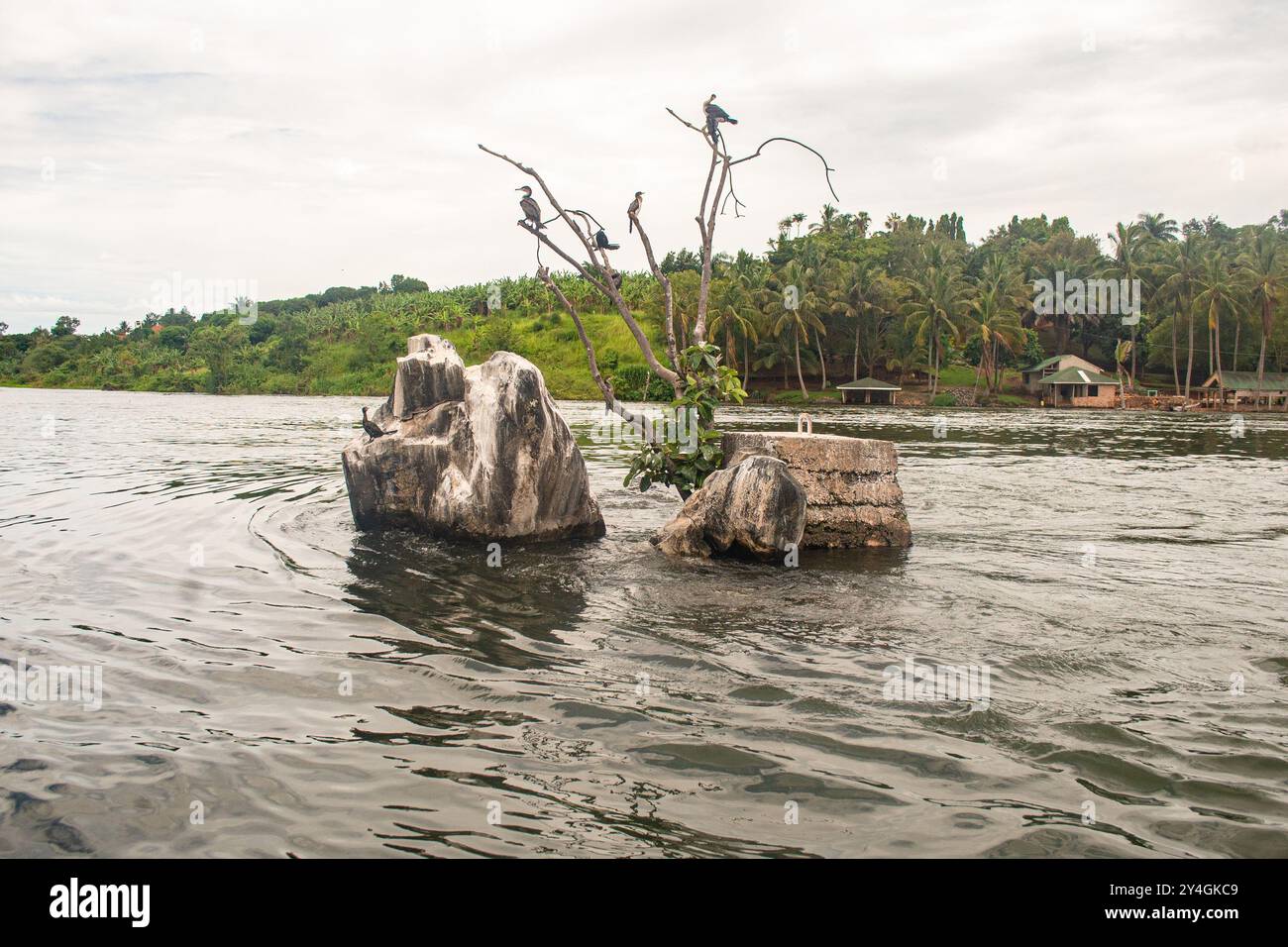 The Source of River Nile in Jinja Uganda Stock Photo - Alamy