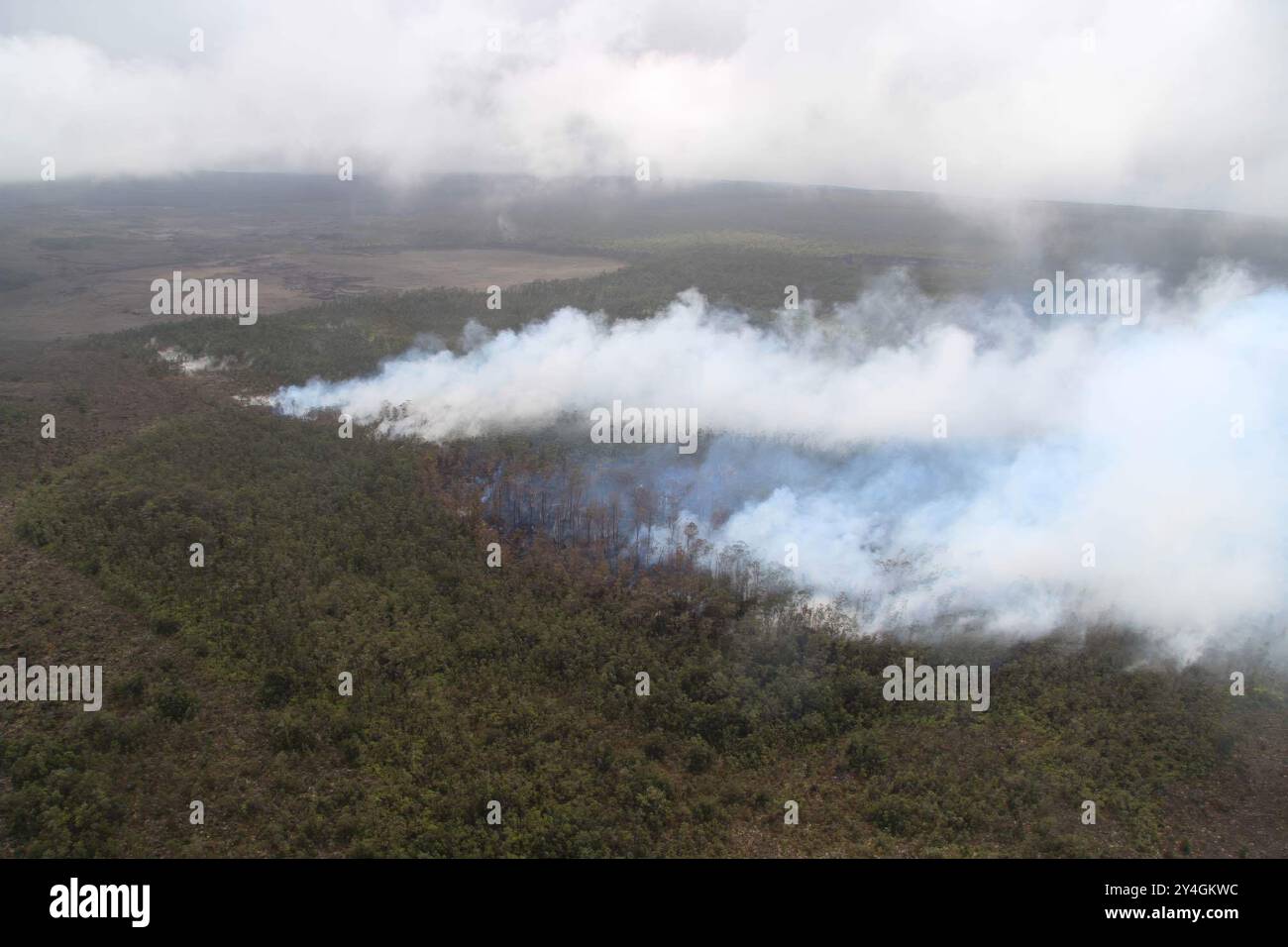 Kilauea volcano hawaii fissure forest hi-res stock photography and ...