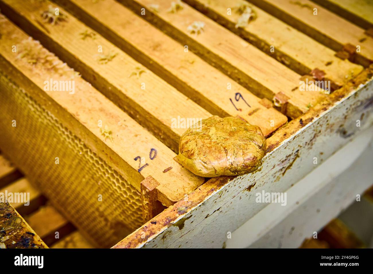 Beekeeping Frame with Honeycomb and Propolis Close-up Perspective Stock ...