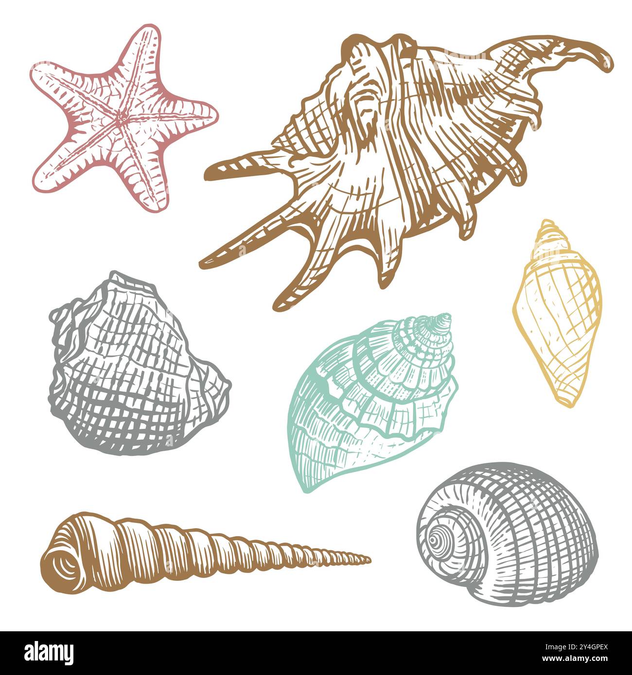 Shells icon set Cut Out Stock Images & Pictures - Alamy