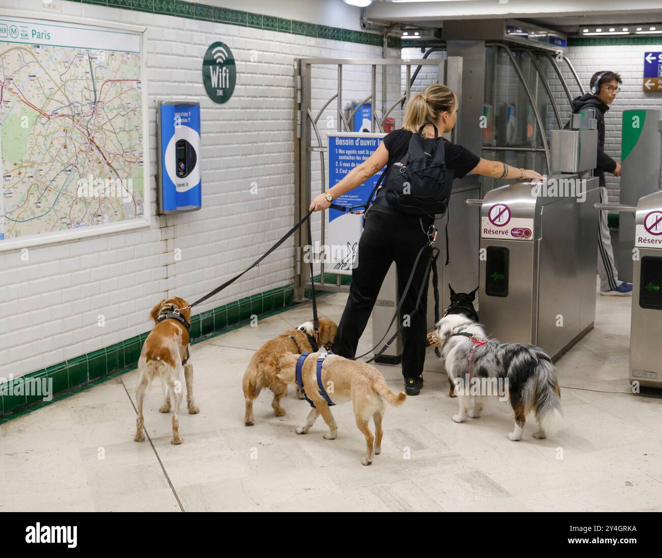 DOG WALKER IN THE PARISIAN METRO Stock Photo - Alamy
