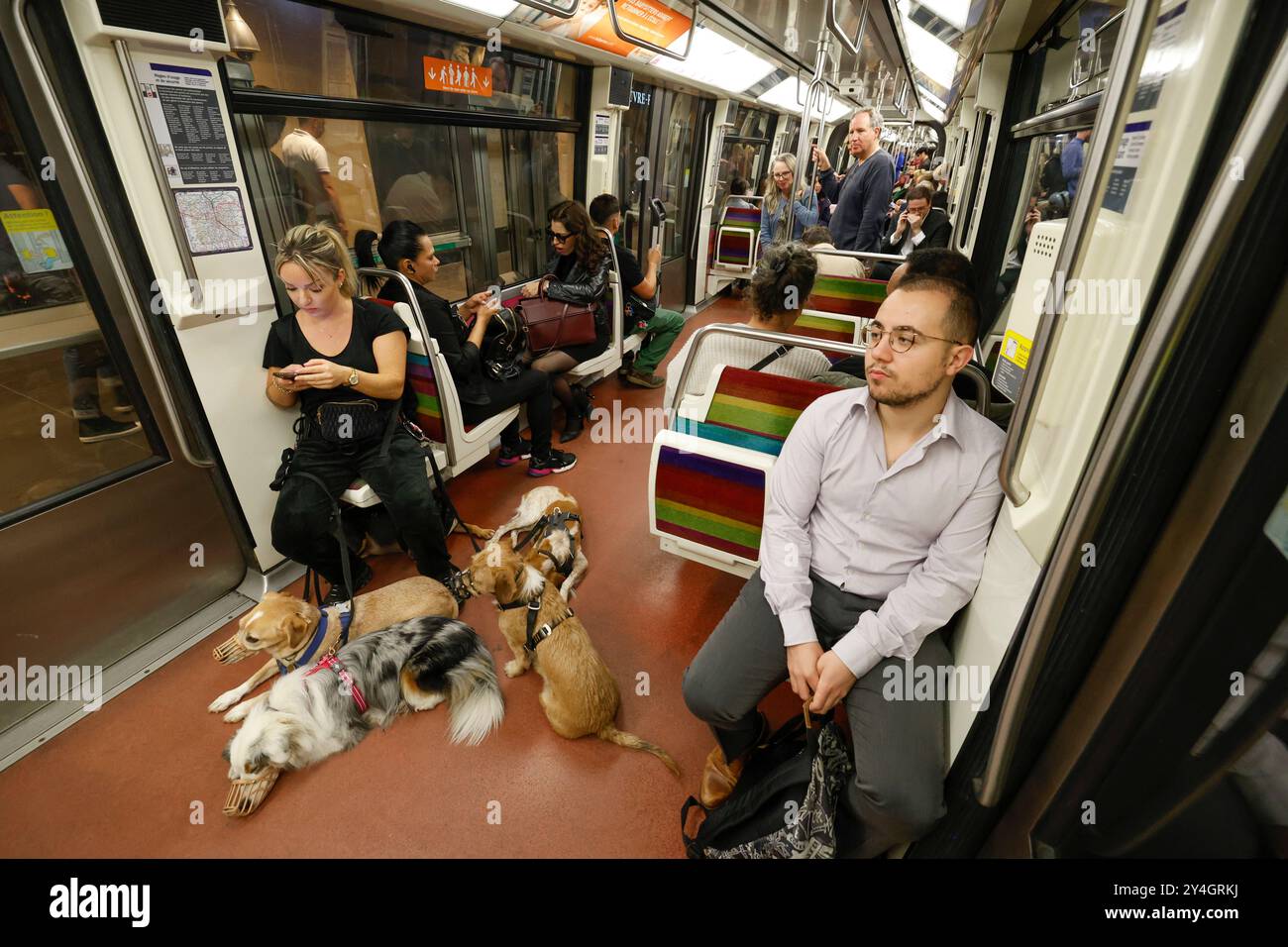 DOG WALKER IN THE PARISIAN METRO Stock Photo - Alamy