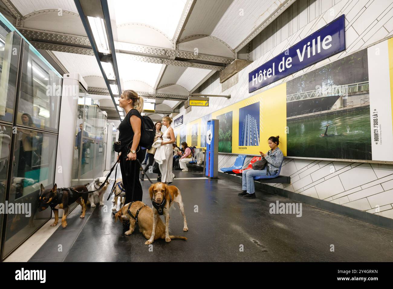 DOG WALKER IN THE PARISIAN METRO Stock Photo - Alamy