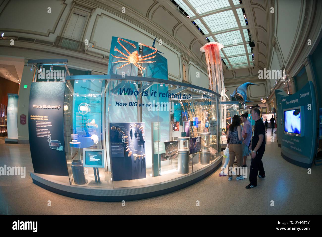 The marine life hall at the Smithsonian Natural History Museum on the ...