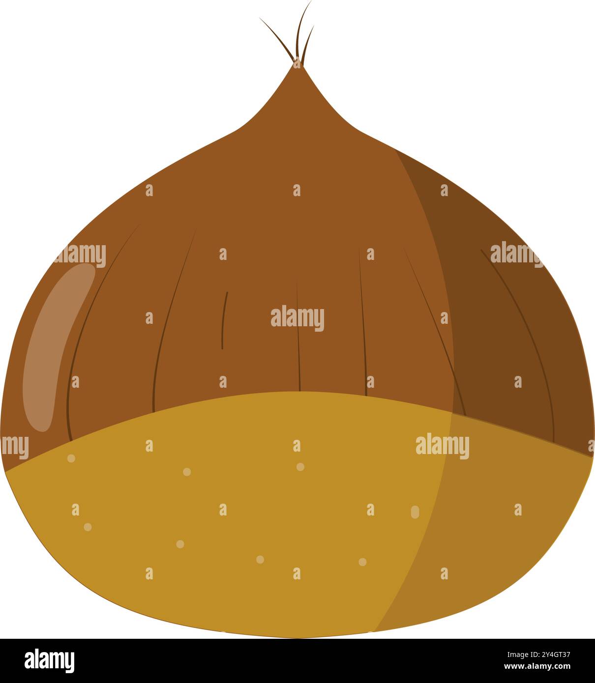 Sweet chestnut shell Stock Vector Images - Alamy