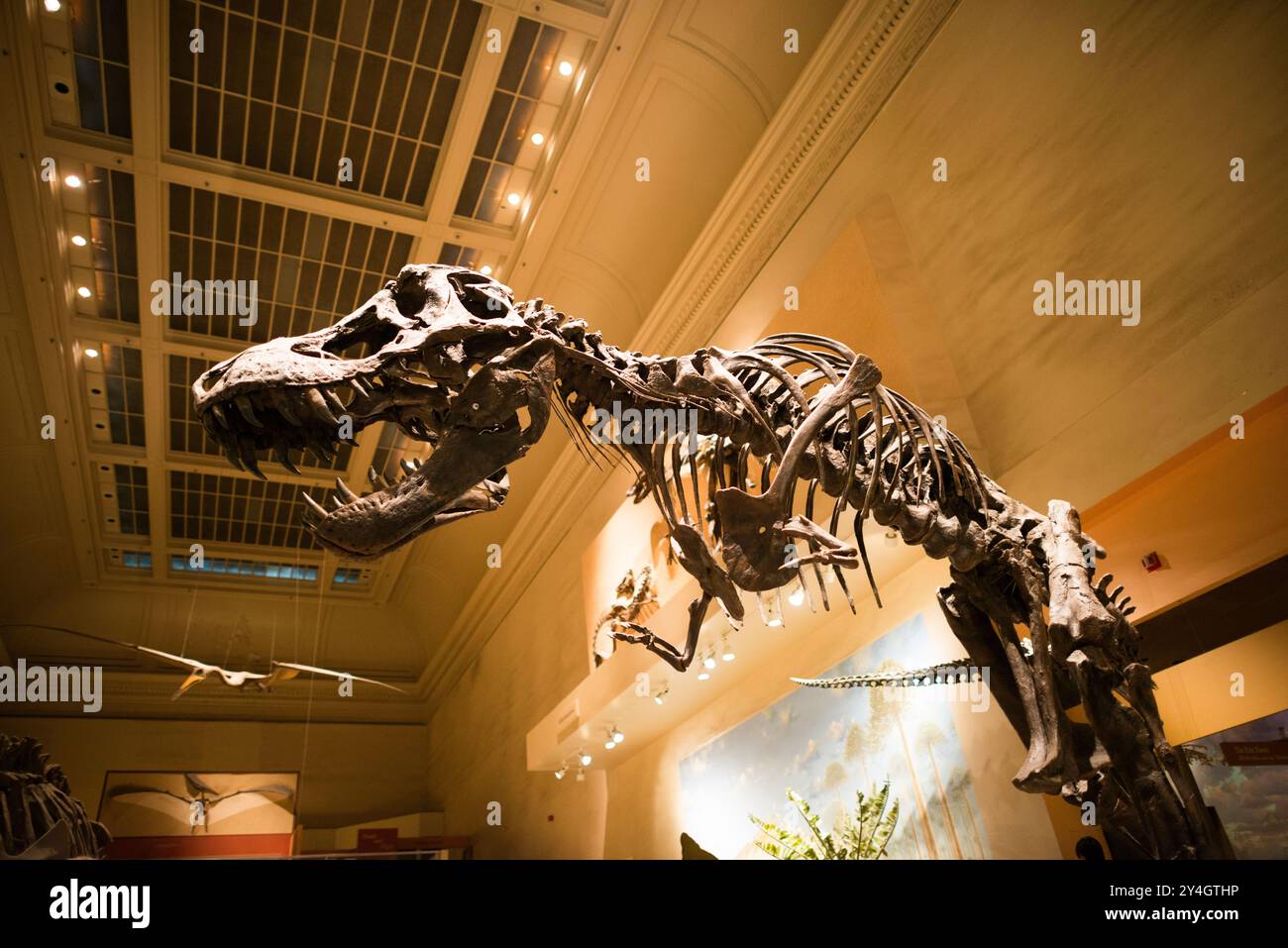 In April 2014 the dinosaur hall at the Smithsonian Institution's ...