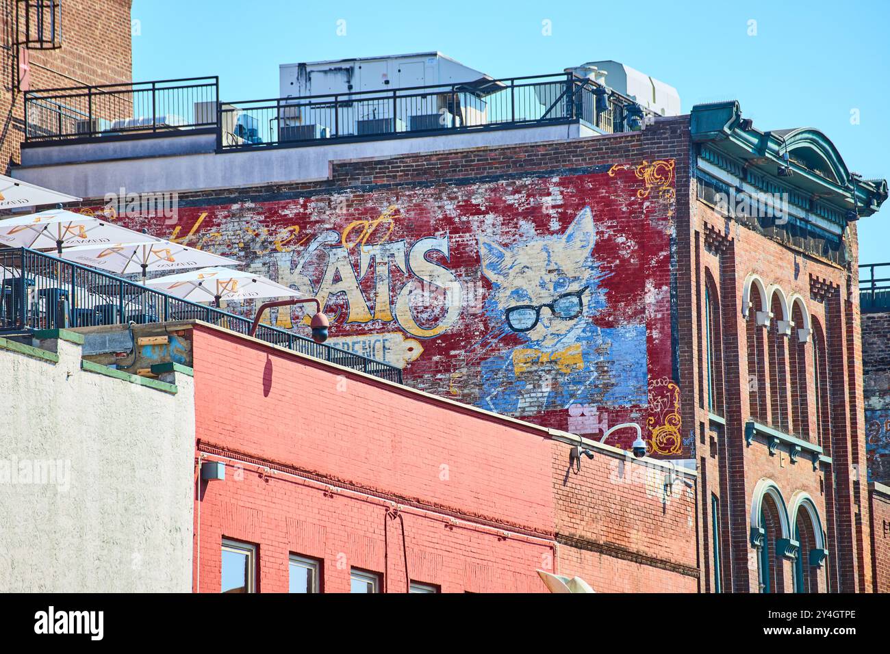 Vintage Cat Mural and Rooftop Cafe on Broadway Street Nashville Eye ...