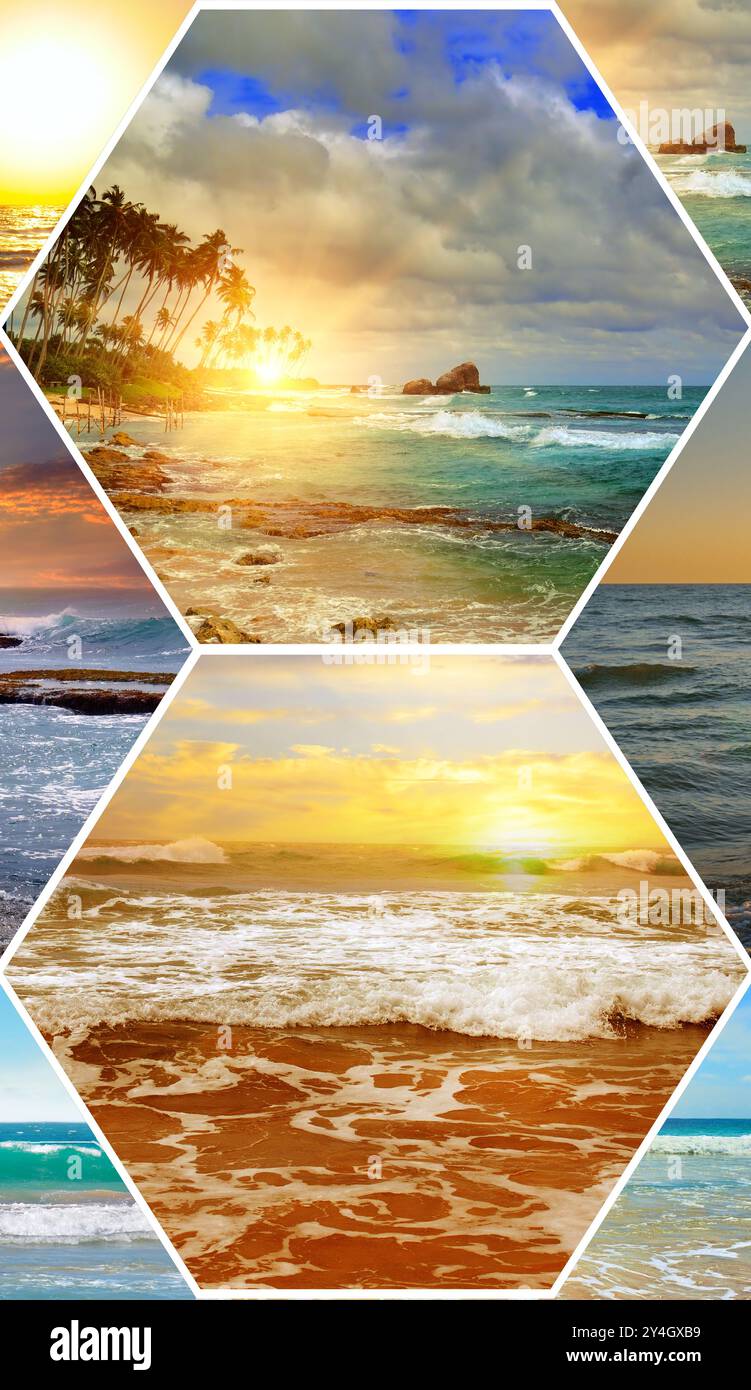 Collage nature sunset tree hi-res stock photography and images - Alamy
