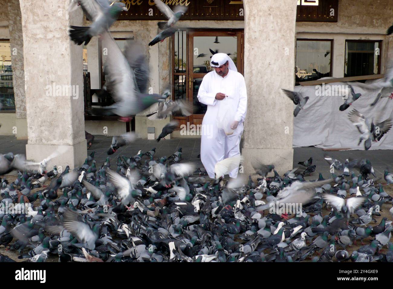 Man in typical Arab clothing feeding pigeons, Doha (Qatar Stock Photo ...
