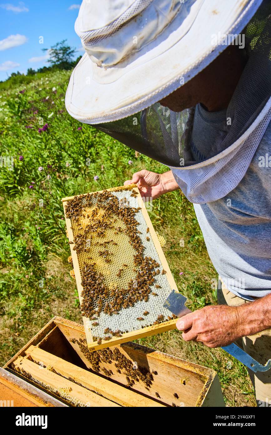Beekeeper Inspecting Hive in Sunny Field Elevated Perspective Stock ...