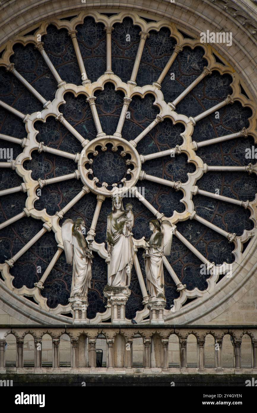 Rose stained glass window of Notre Dame Cathedral. medieval Gothic rose ...