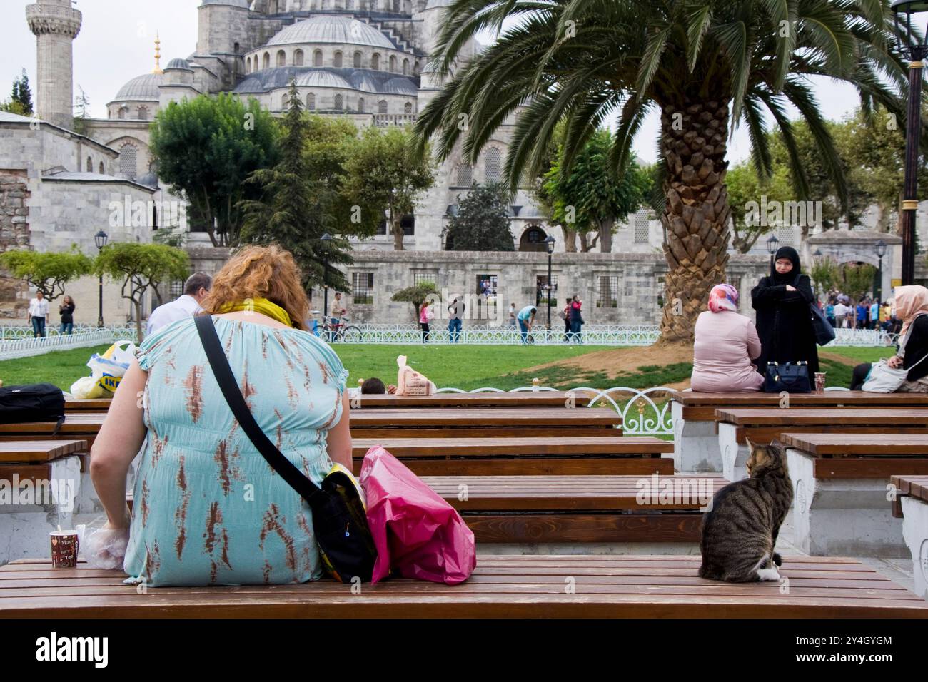 Turkey, Istanbul, Daily life Stock Photo - Alamy