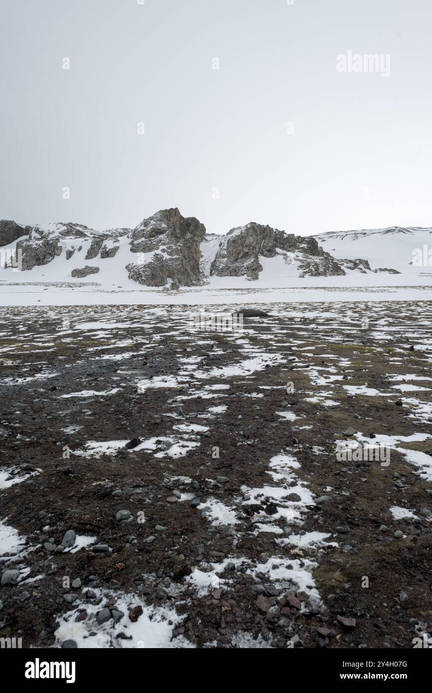 Antarctic volcanic soil hi-res stock photography and images - Alamy