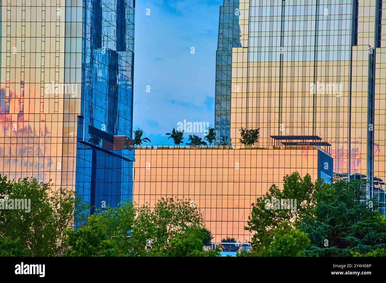 Nashville Skyscrapers and Greenery at Sunrise Eye-Level Perspective ...
